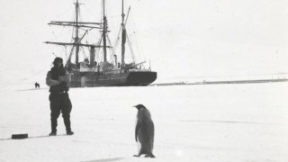 Rare Photos From Early Antarctic Expeditions Digitized for First Time ...