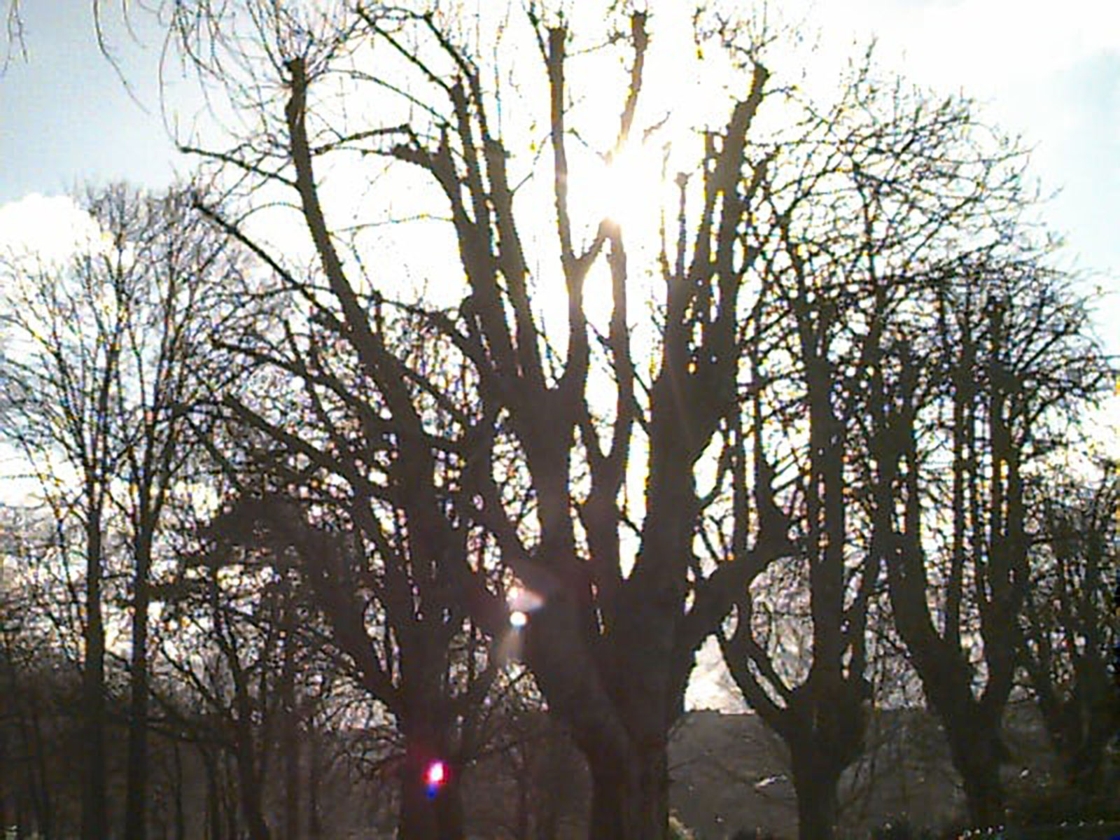 Apple's 29-Year-Old Landmark QuickTake 100 Camera Falters in 2023 ...