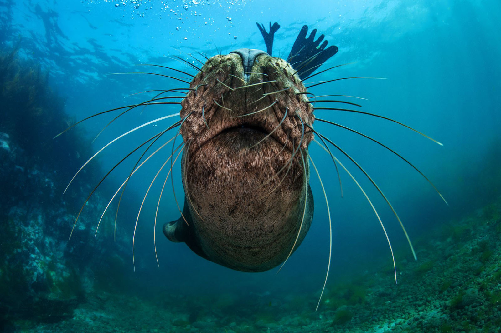 Photos from Remote Moneron Island: A Hidden Wildlife Paradise | PetaPixel