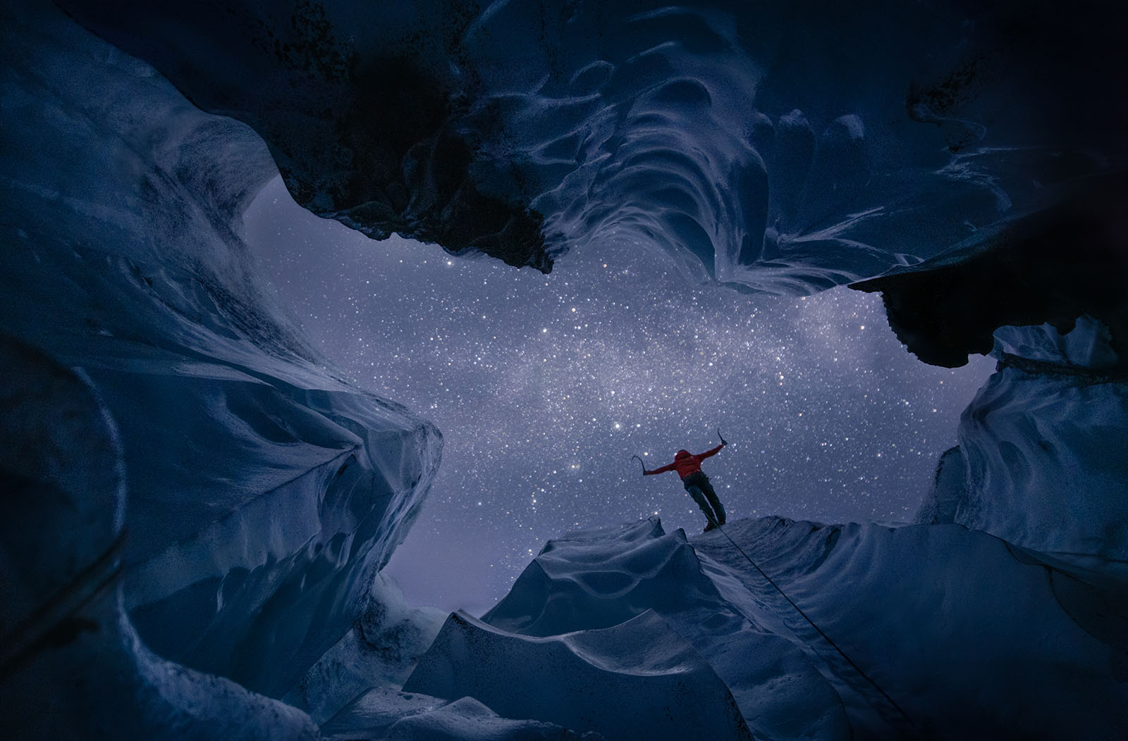 Camouflaged Crocodile Portrait Wins World Nature Photography Awards ...