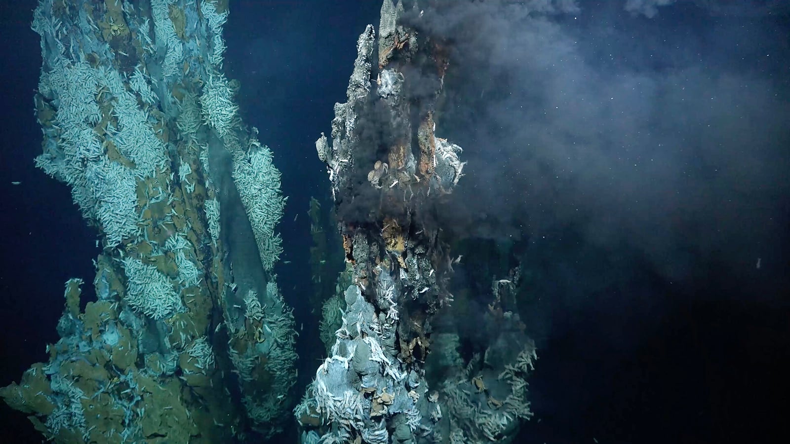 Newly Discovered Hydrothermal Vents are Surrounded by Deep-Sea Life ...