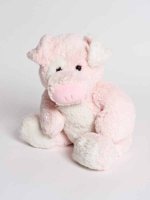 Photographer Captures the 'Spirited' Personalities of Stuffed Animals ...