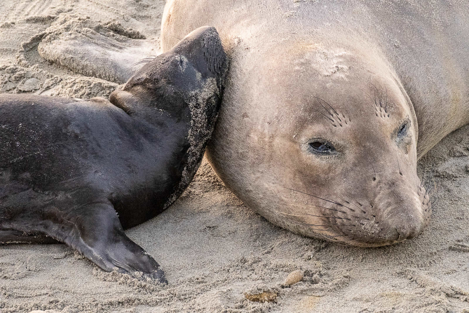 It Ain’t The Gear: You Can Shoot Great Photos with Modest Equipment ...