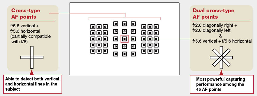 How Autofocus Works in Photography | PetaPixel