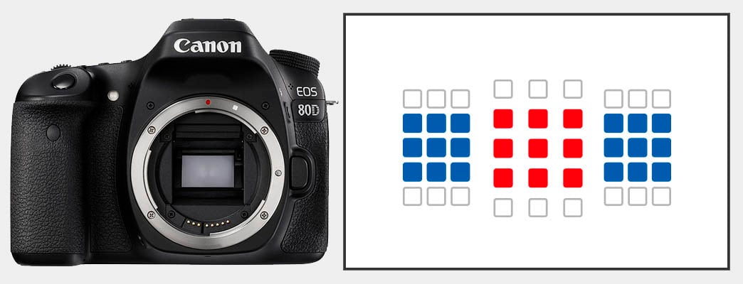 How Autofocus Works in Photography | PetaPixel