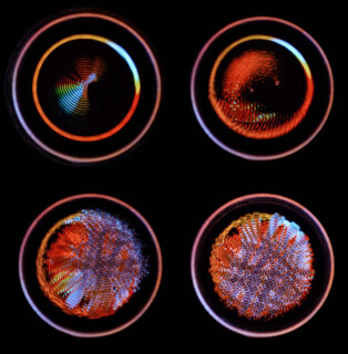 A Simple Technique to Photograph Standing Waves on Water | PetaPixel