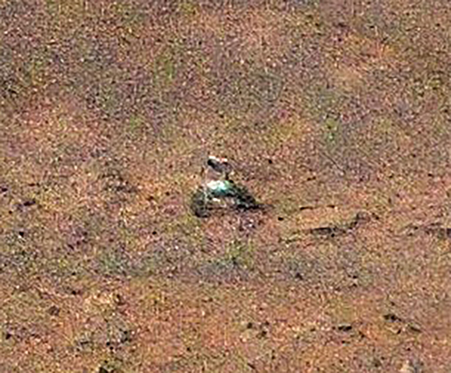 Incredible Aerial Photo of Mars Shows Blue Sky and Perseverance Rover ...