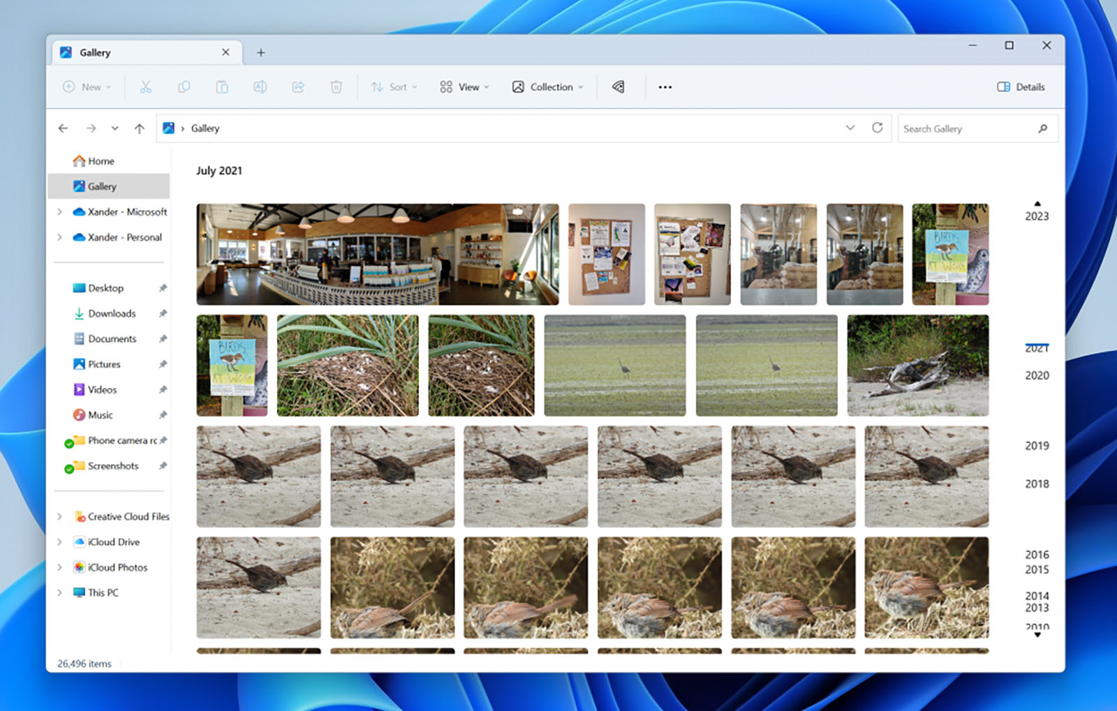 Windows 11 Beta Build Features New 'Gallery' Photo View in File ...
