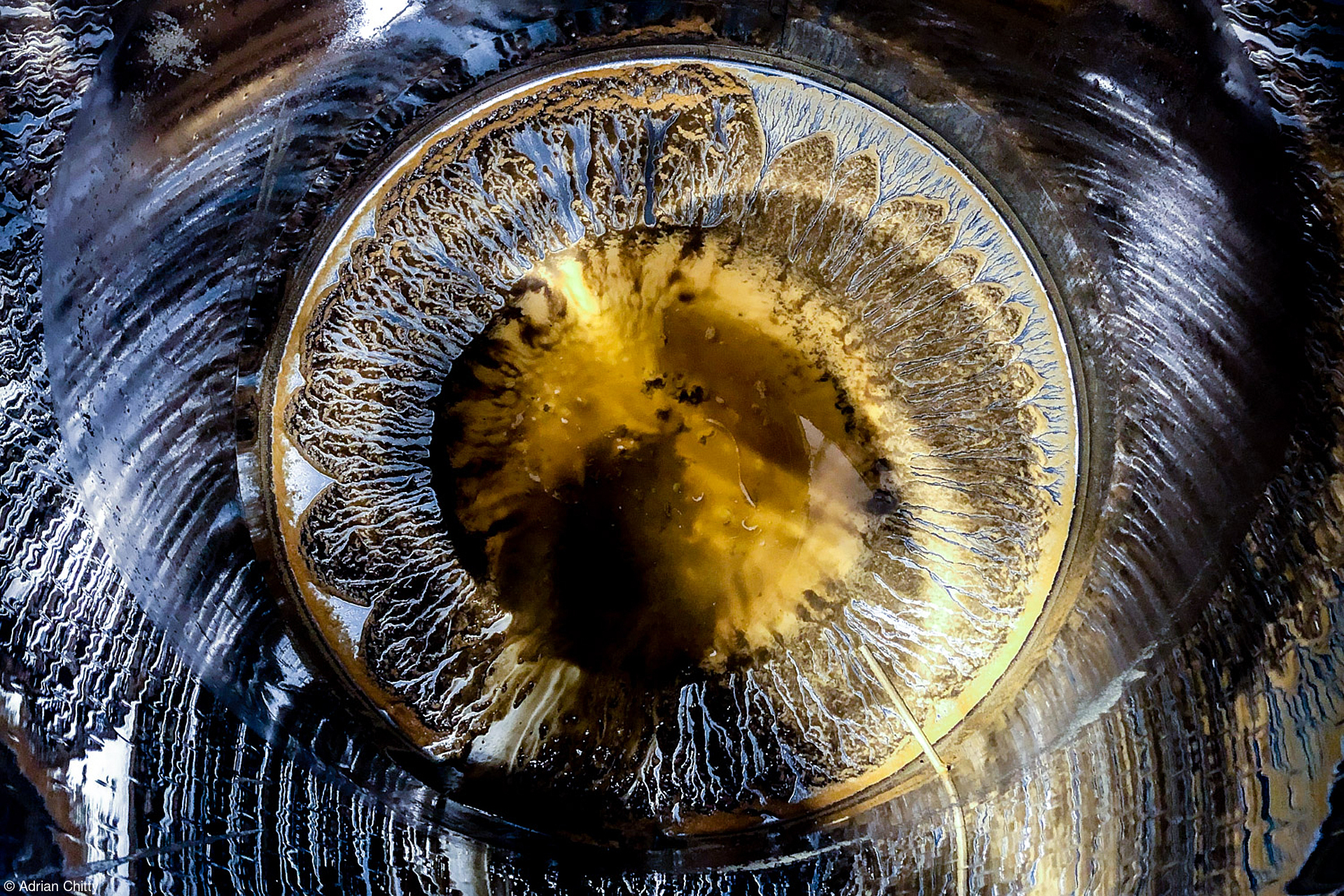 Portrait of a Cotton Candy Seller Wins Food Photographer of the Year ...