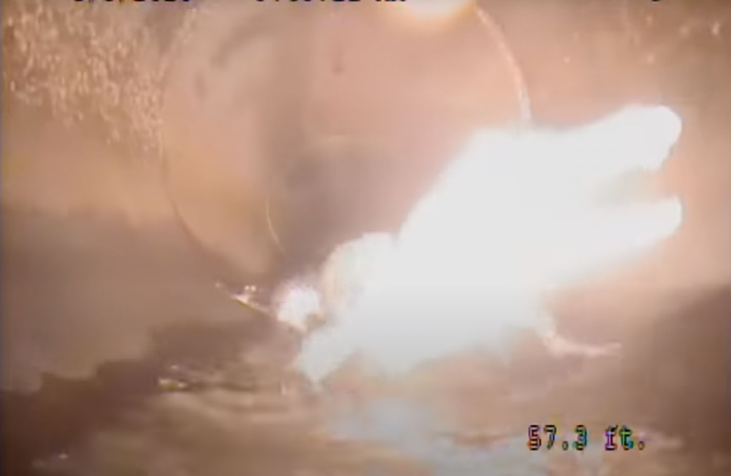 Robotic Camera Encounters 5-Foot Alligator Inside a Storm Drain | PetaPixel