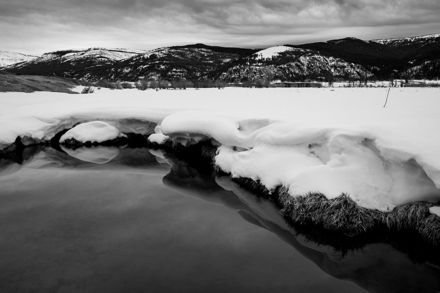 Nikon Z8 Hands-On: This Apple Didn't Fall Far From the Z9 Tree | PetaPixel