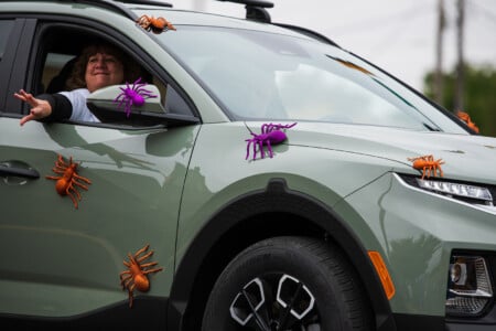 Photos of the Tarantula Migration Through a Small Town in Colorado ...