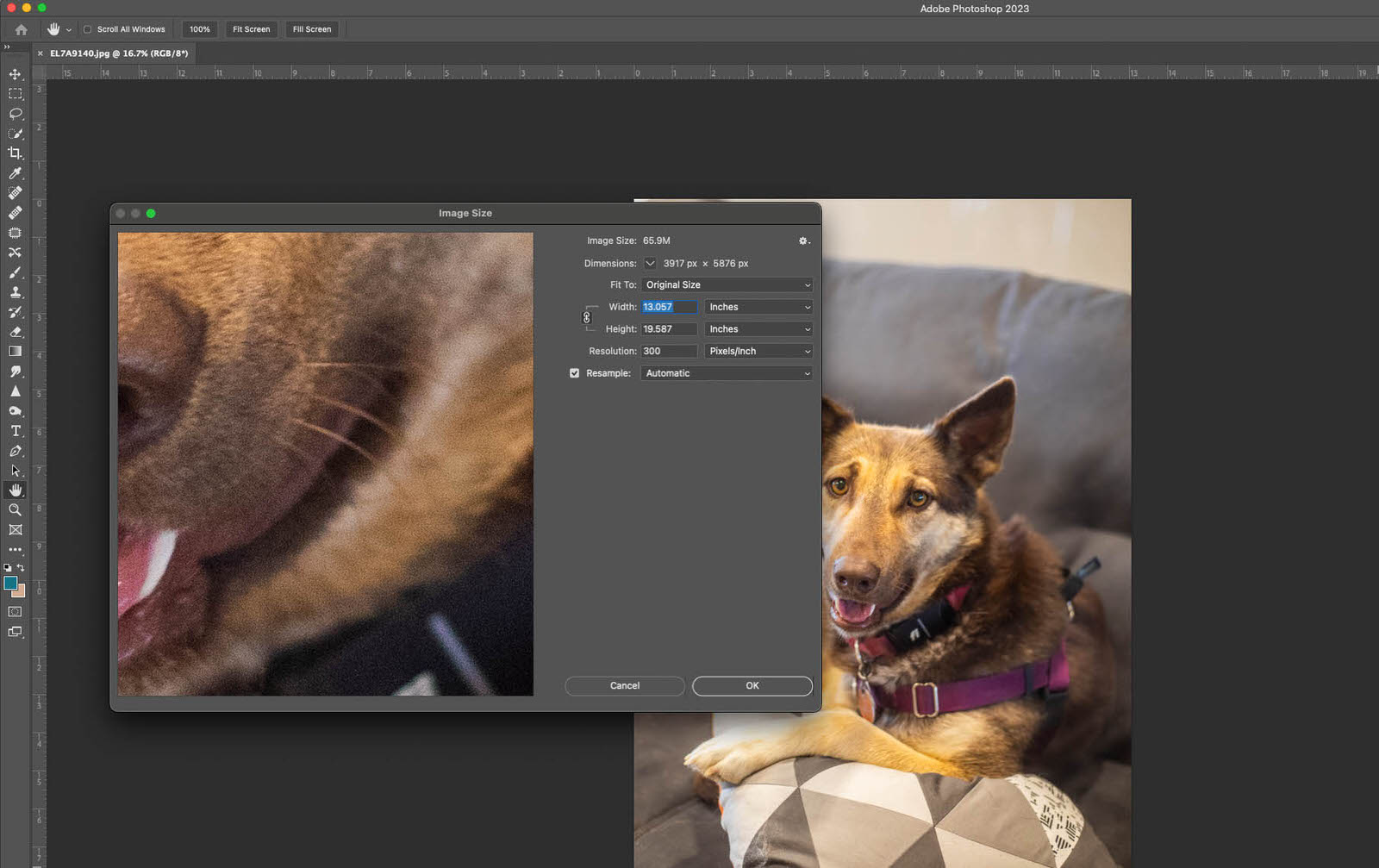 How to Fix Photoshop Scratch Disk Full Errors | PetaPixel