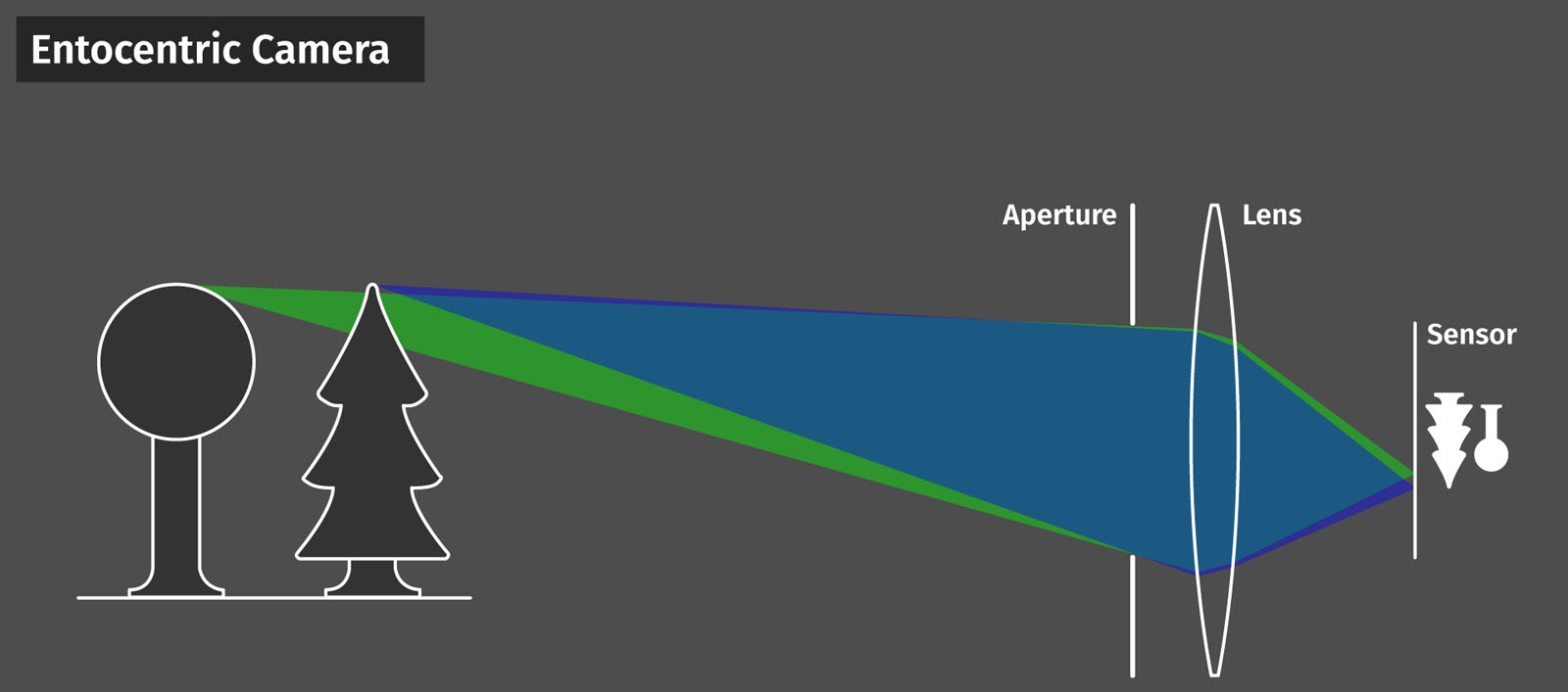 Wacky Lens Creates Hilarious Reverse Perspective Portraits | PetaPixel
