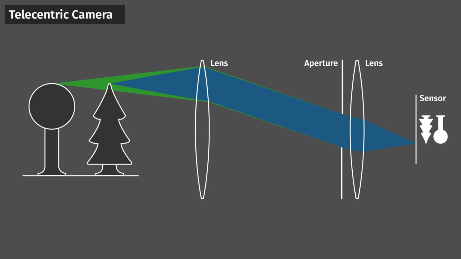 Wacky Lens Creates Hilarious Reverse Perspective Portraits | PetaPixel