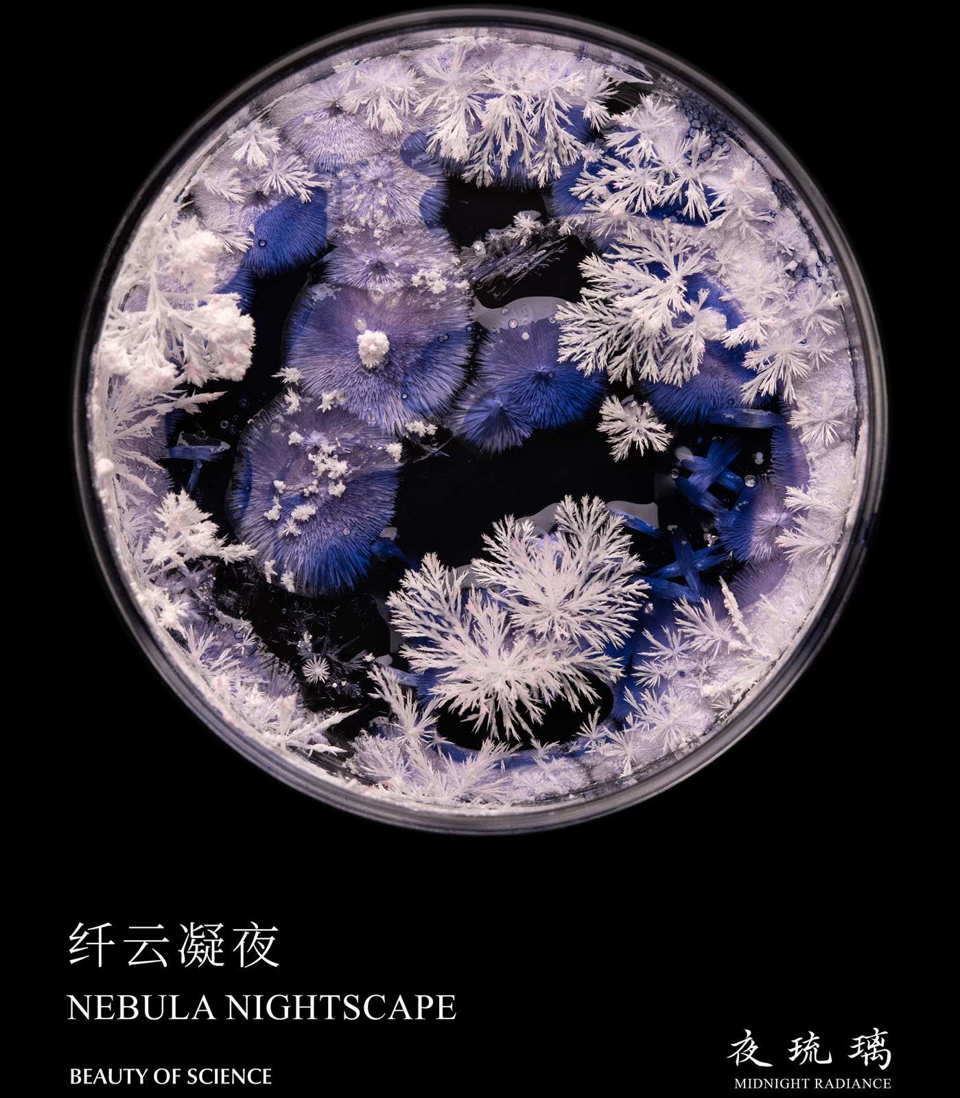 'Midnight Radiance' Combines Art and Science With Colorful Crystals ...