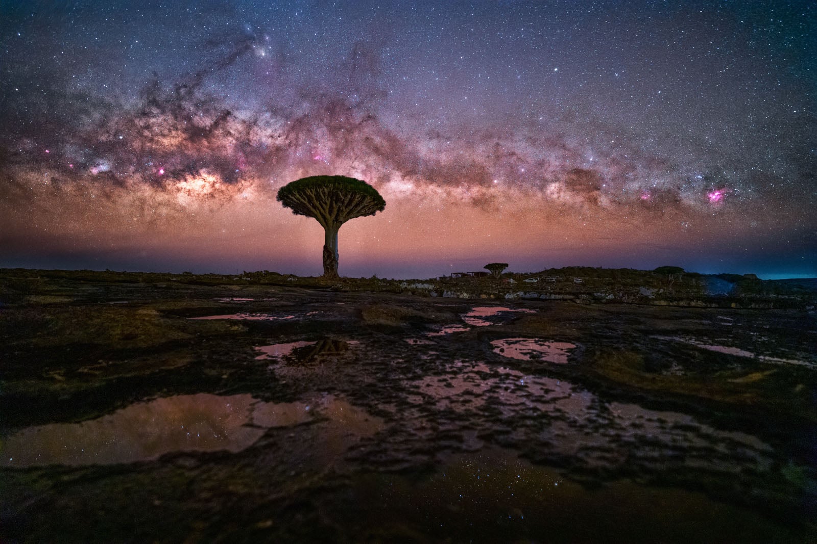 Socotra: Hidden Gem in the Arabian Sea is a Photographer's Paradise | PetaPixel