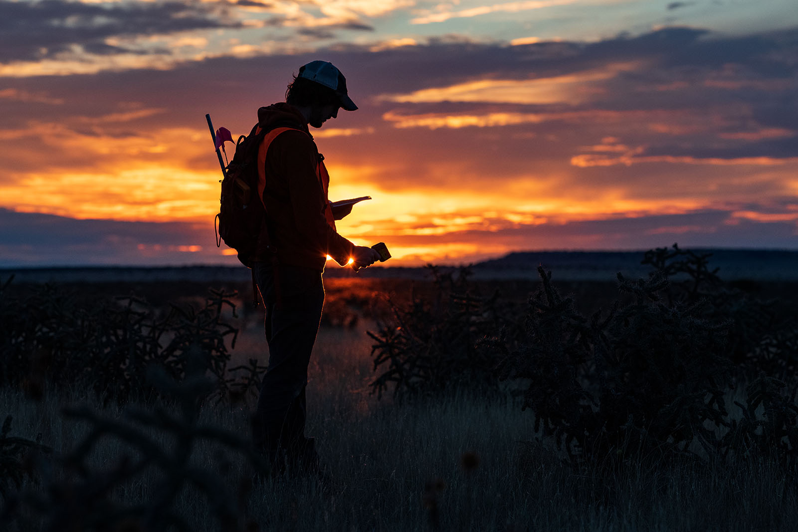 Photos of the Tarantula Migration Through a Small Town in Colorado ...