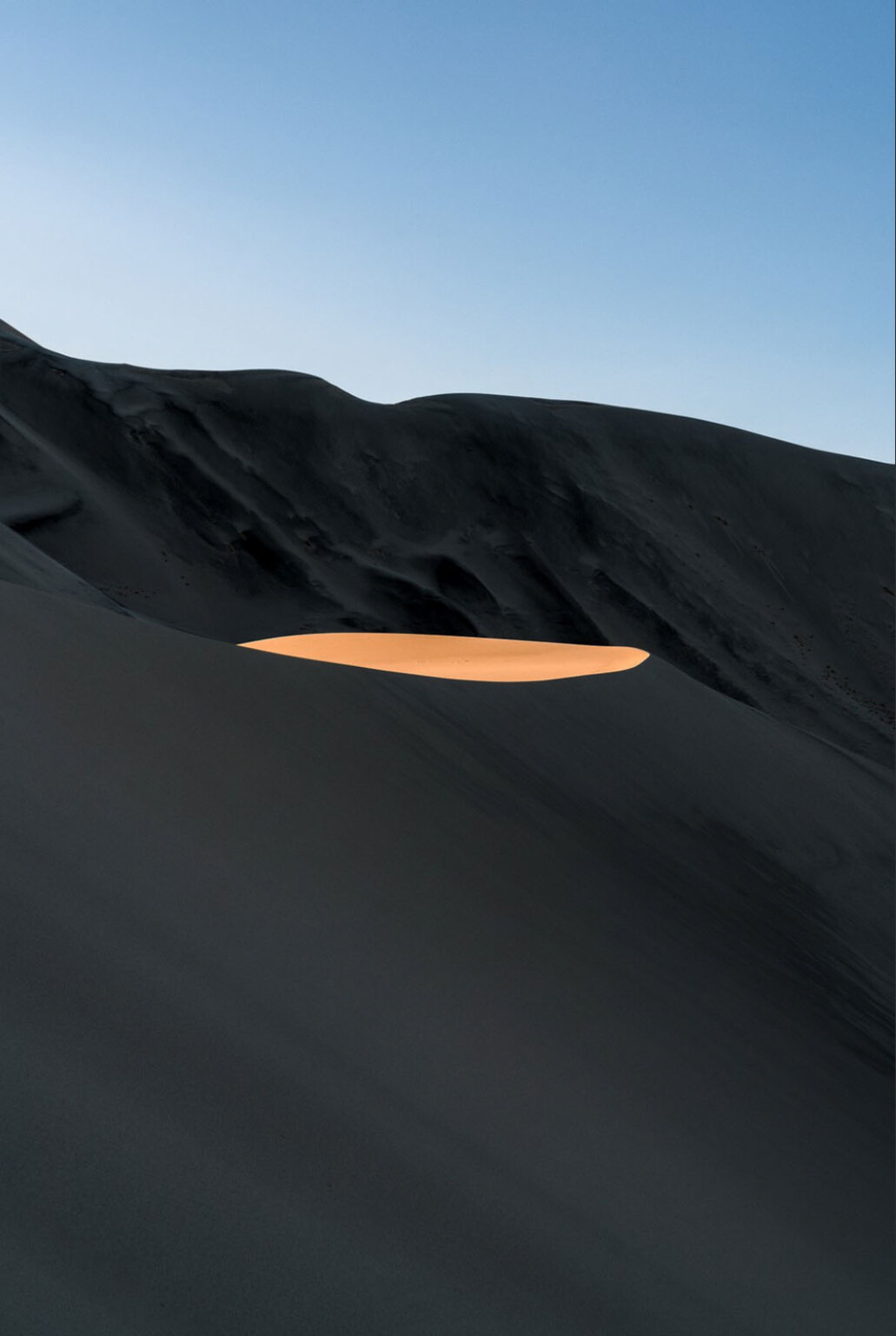 ReFocus Awards Color Photography Contest Showcases Chromatic Beauty ...