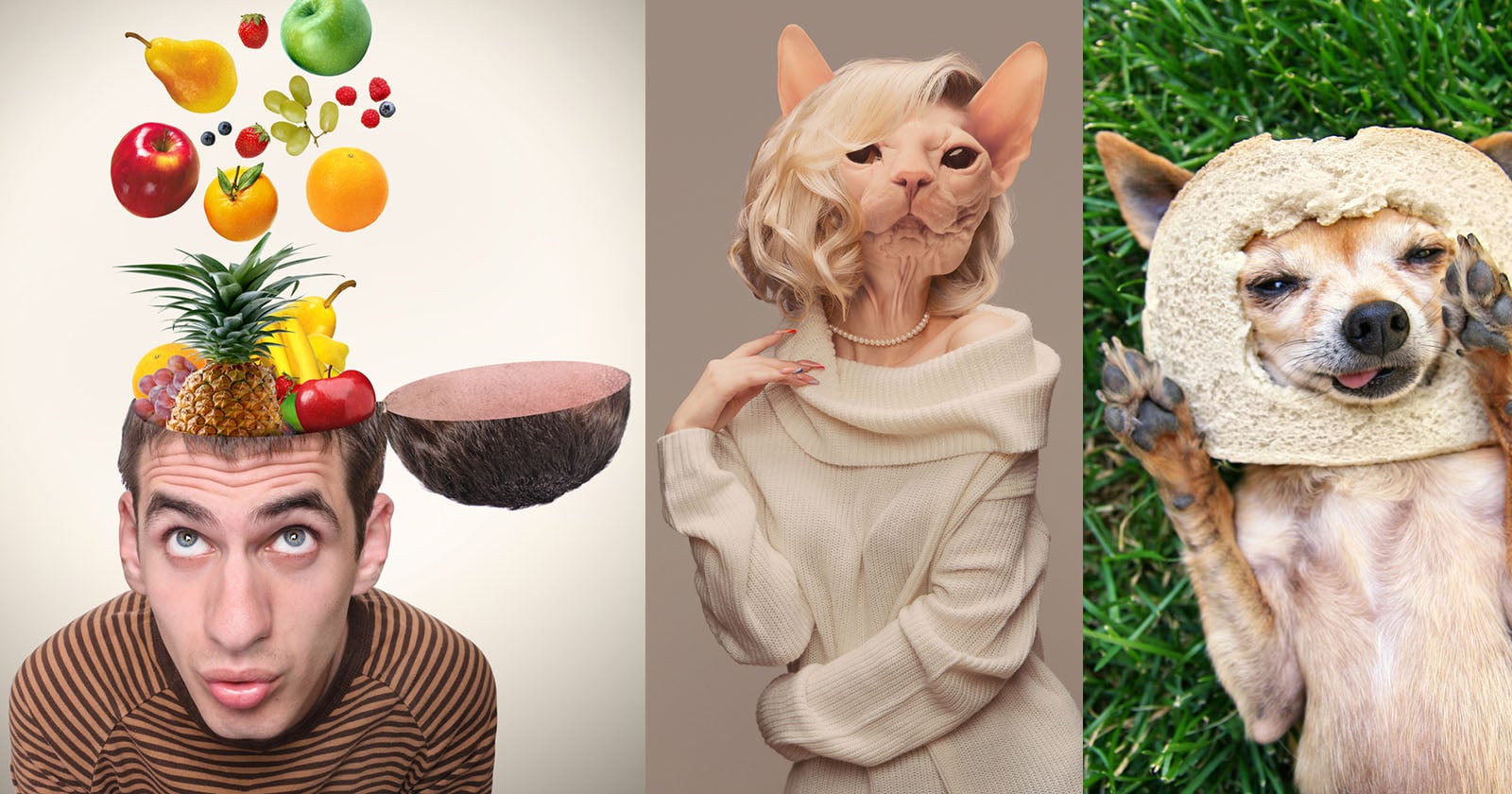 Stock Photo Site Shares Its Strangest Searches And Weirdest Images