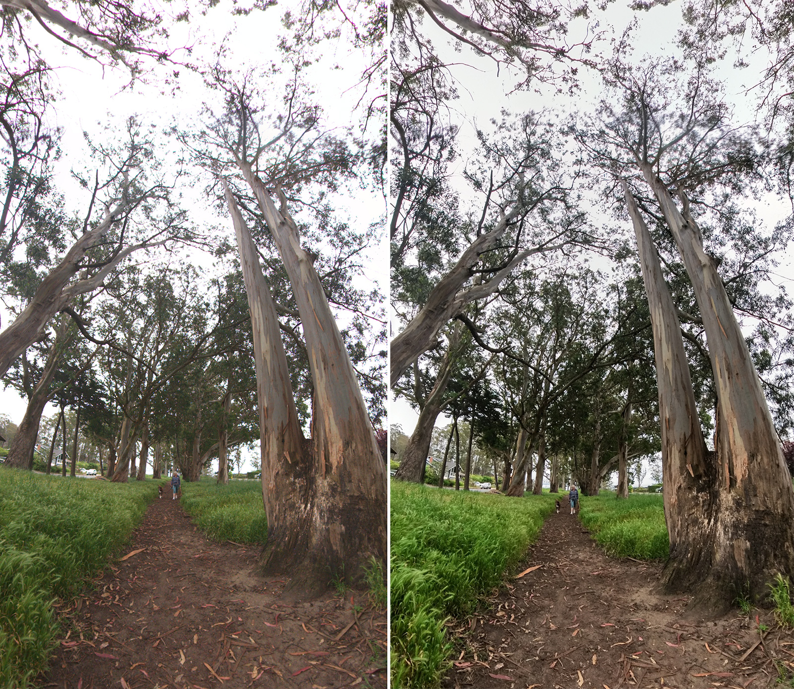 Insta360 X3 New Firmware Hands-On: Better Photos, Bigger Toolkit ...