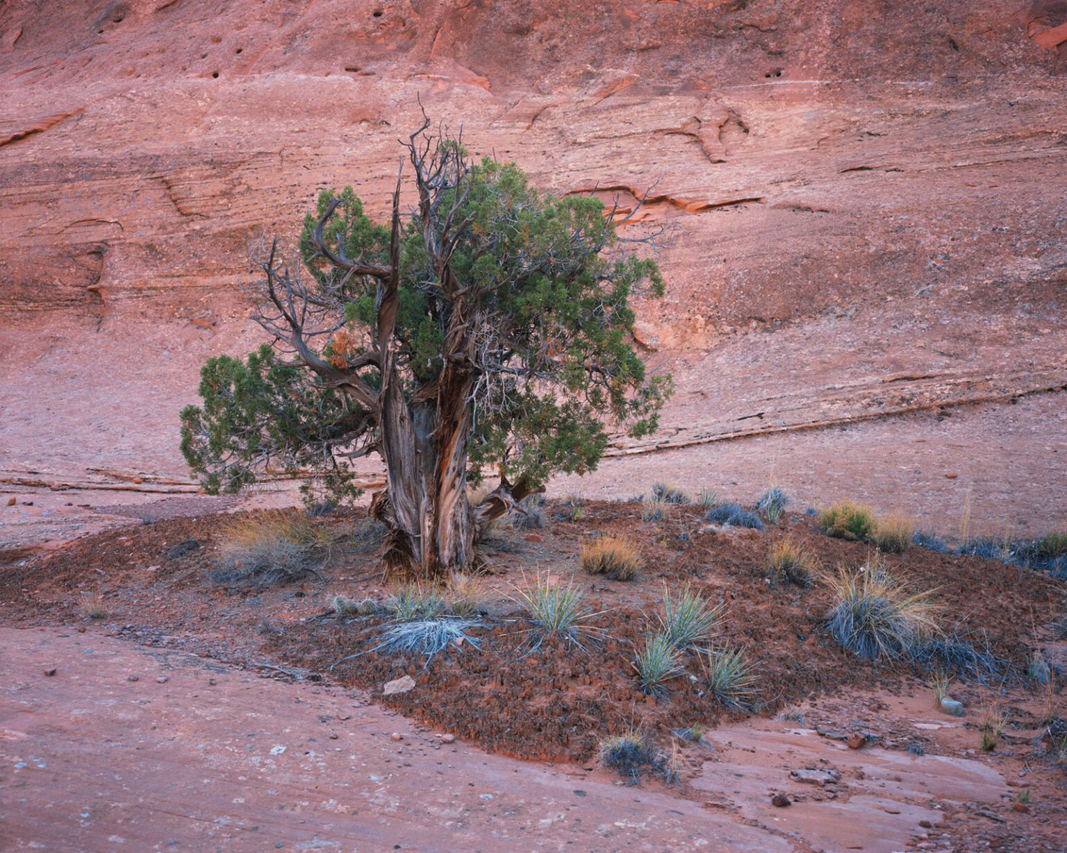 The Alluring Beauty of Ben Horne's Large Format Film Landscape Photos ...