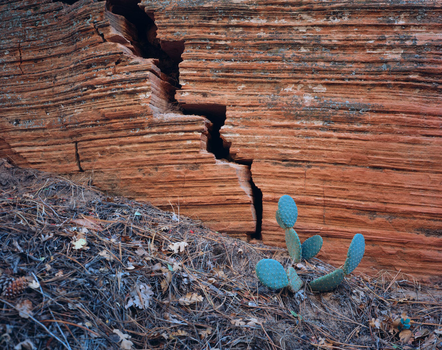 The Alluring Beauty of Ben Horne's Large Format Film Landscape Photos ...