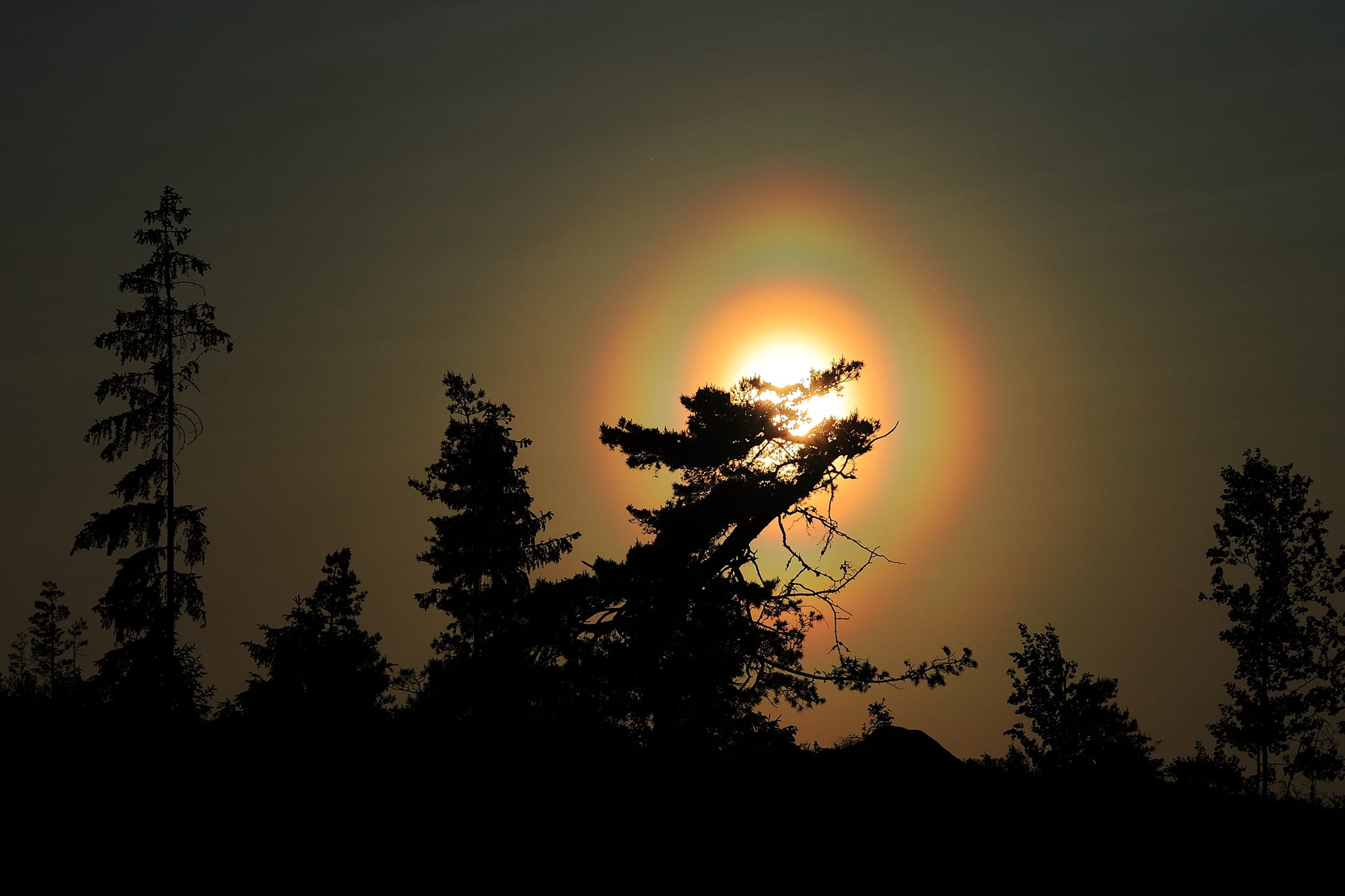 Intense Pollen Swarms Creates Rainbow Rings Around the Sun | PetaPixel