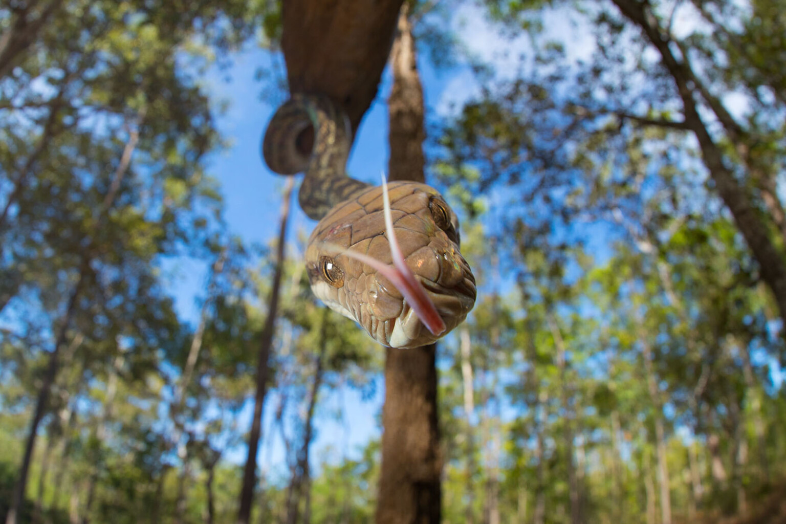 Robert Irwin: Continuing a Wildlife Conservation Legacy with a Camera ...