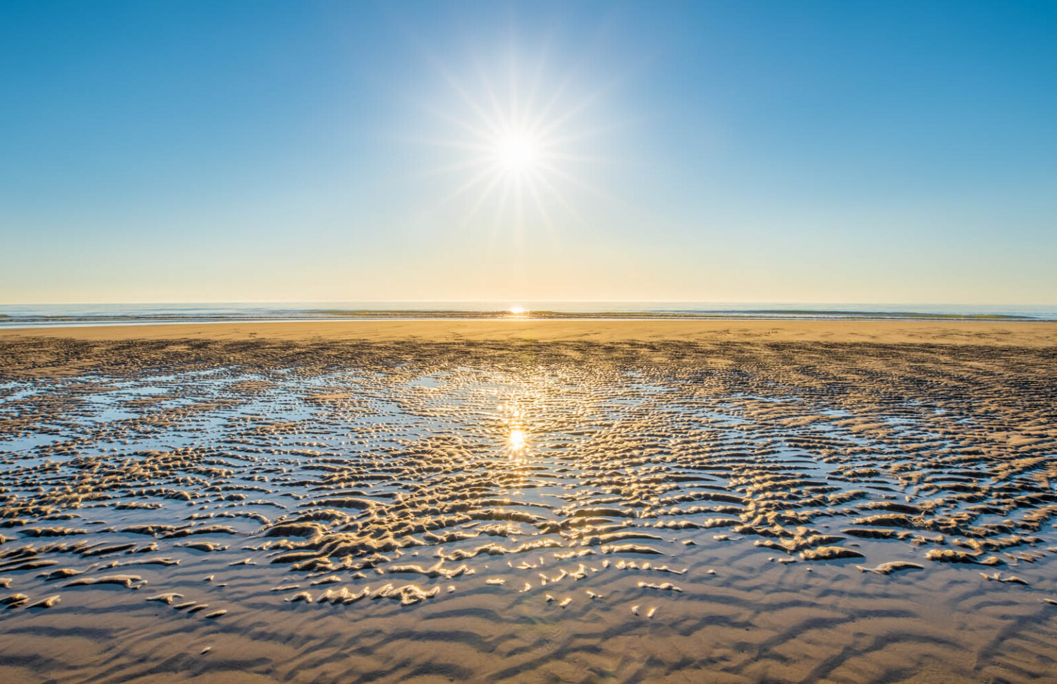 Lens Flare in Photography: A Complete Guide | PetaPixel