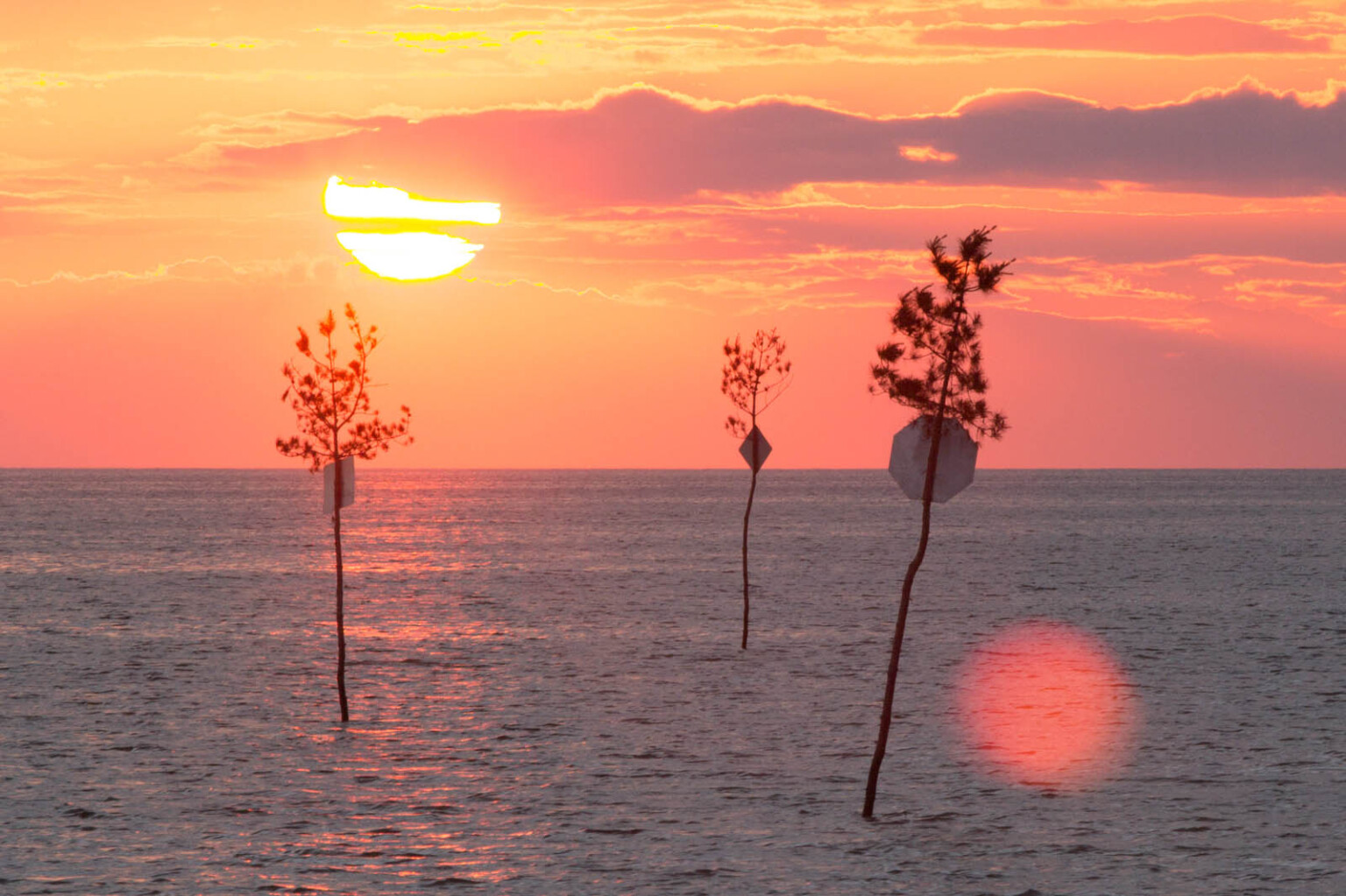 Lens Flare in Photography: A Complete Guide | PetaPixel