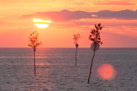 Lens Flare in Photography: A Complete Guide | PetaPixel