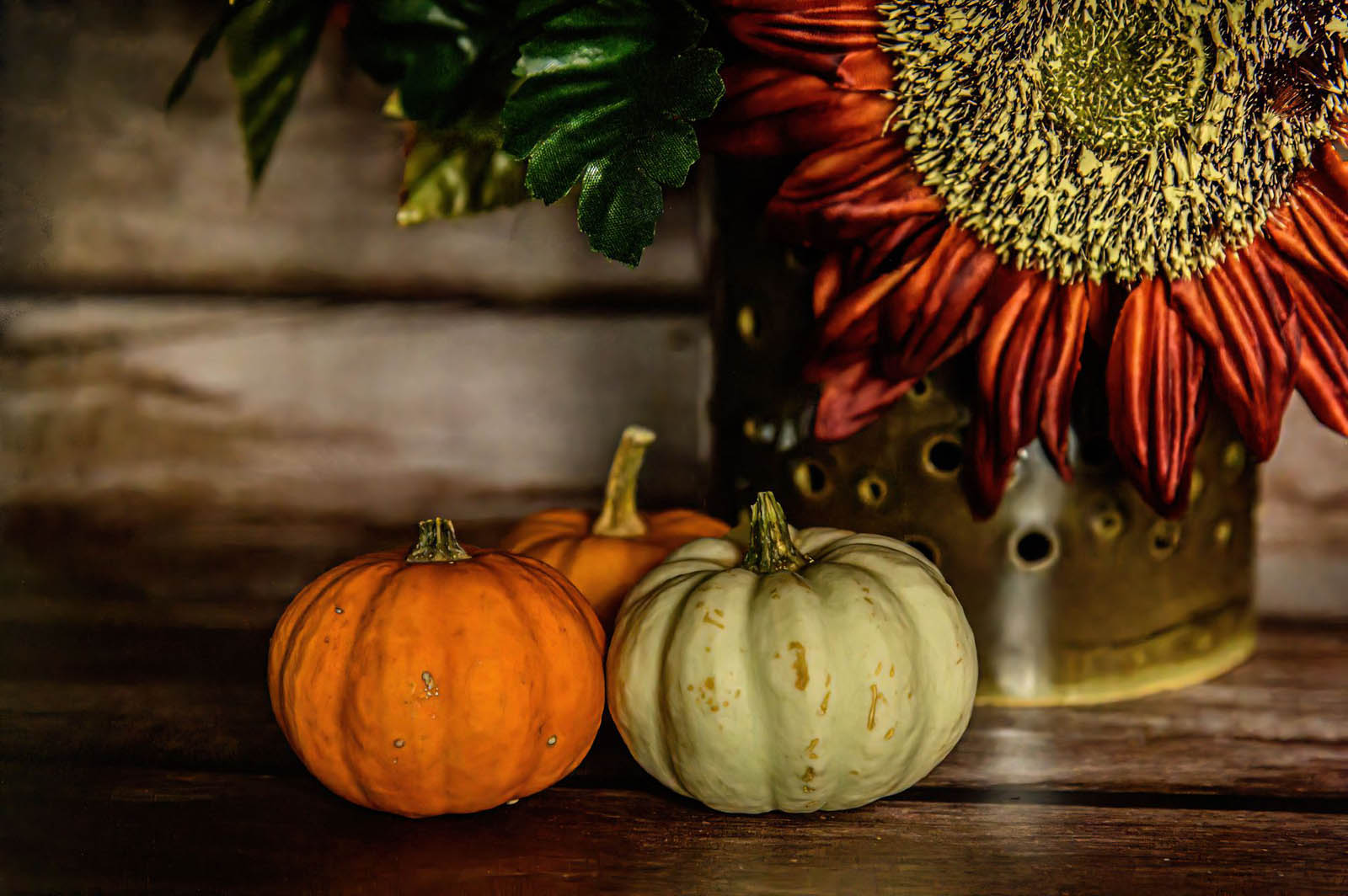 The Best Photos from GuruShots' 'Stunning Still Life' Challenge | PetaPixel