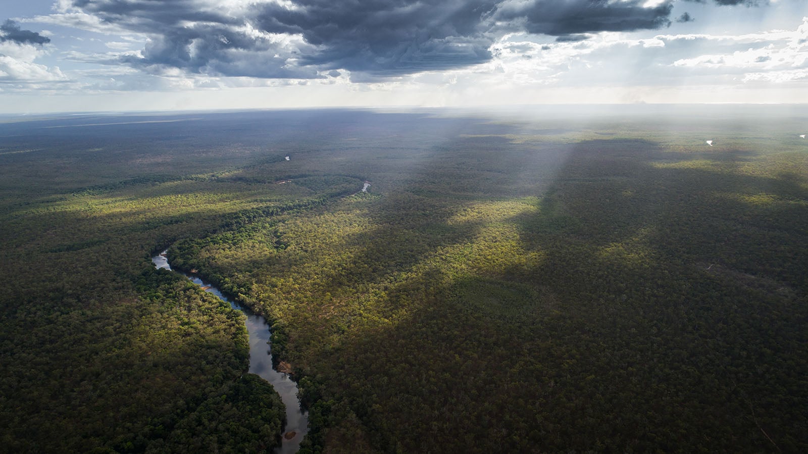 Robert Irwin: Continuing a Wildlife Conservation Legacy with a Camera ...