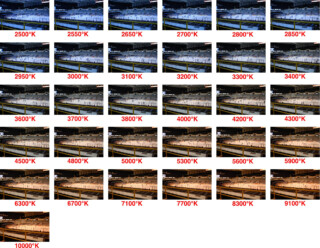 What is White Balance in Photography? | PetaPixel