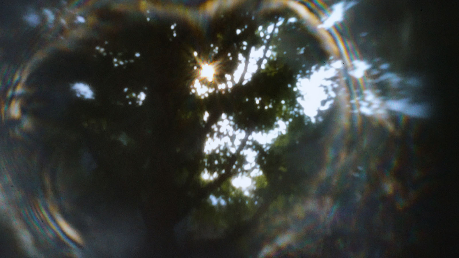 Fun DIY Pinhole Lens Requires a Soda Can, Tape, and a Simple Lens ...