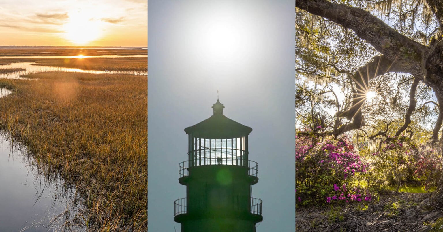 Lens Flare in Photography: A Complete Guide | PetaPixel