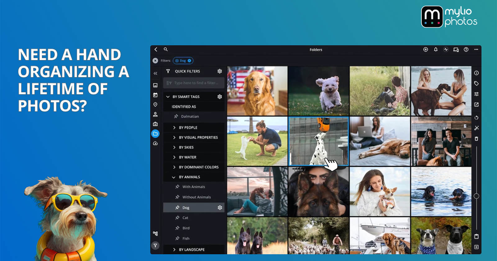 How to Find Any Photo, Even if Your Portfolio Has Millions of Them ...