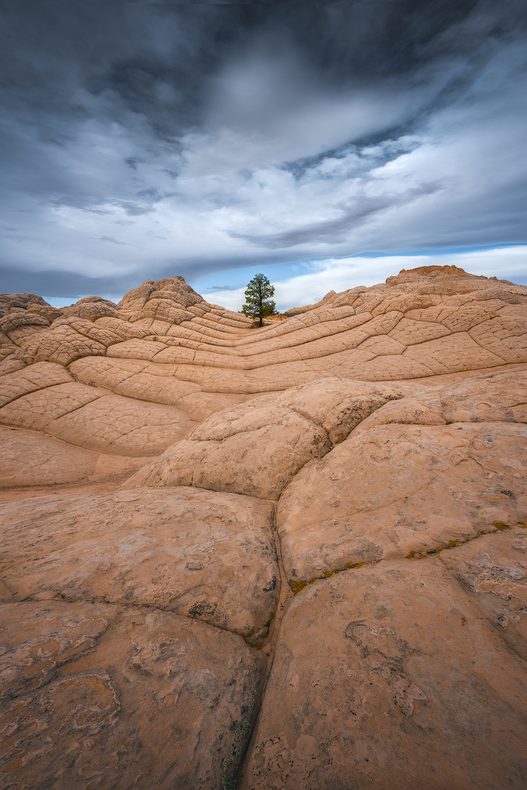 Calming the Chaos: How to Photograph Overwhelming Landscape Locations ...