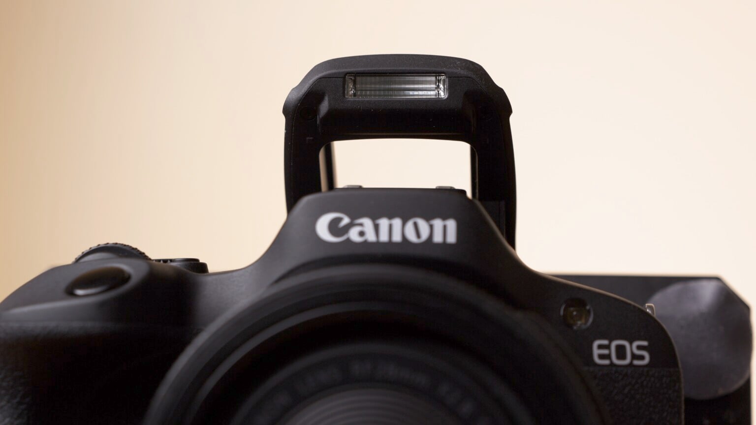 Canon EOS R100 Review: It Feels Like an Old Camera, and Not in a Good ...