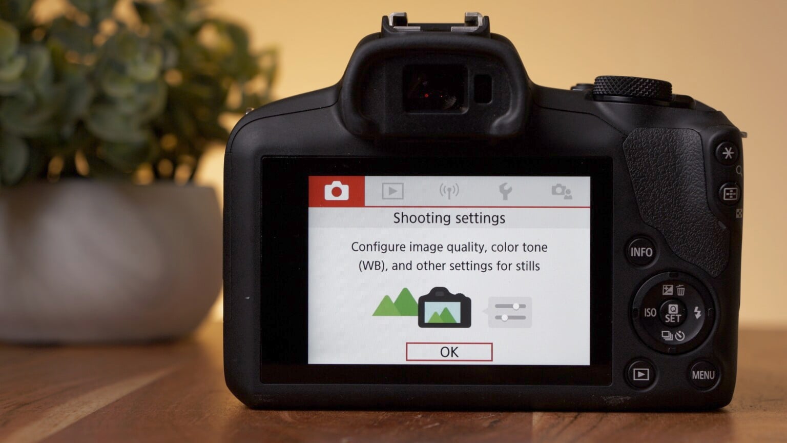Canon EOS R100 Review: It Feels Like an Old Camera, and Not in a Good ...