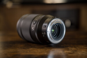 Nikon Z 105mm f/2.8 Macro Lens Review: A Stunning Tele Macro Combo ...