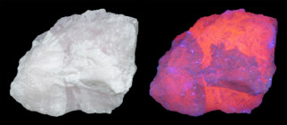 How to Capture Ultraviolet-Induced Fluorescence (UVIF) Photos | PetaPixel