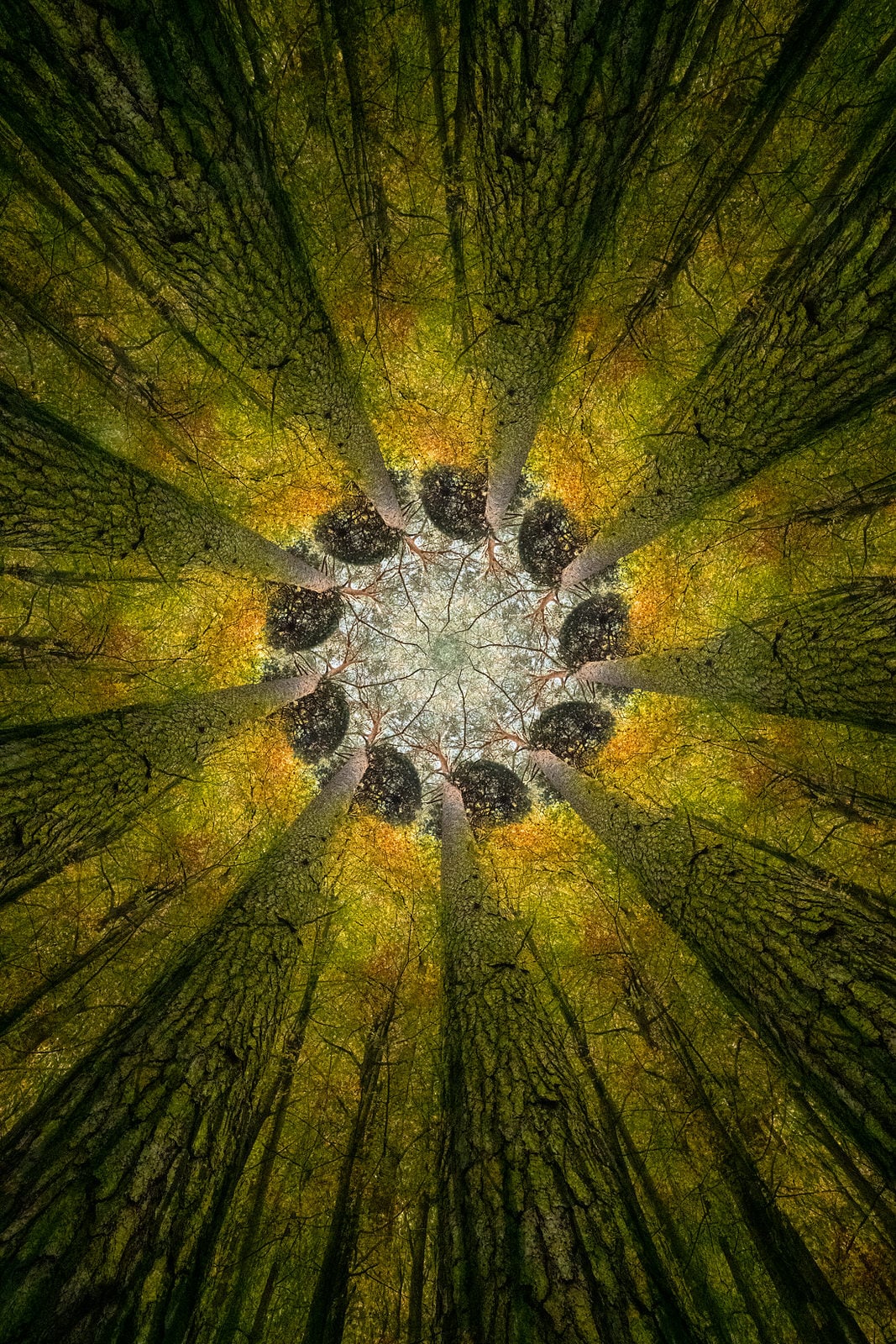 Abstract State of Mind: Seeing Beyond the Literal in Landscape Photos ...