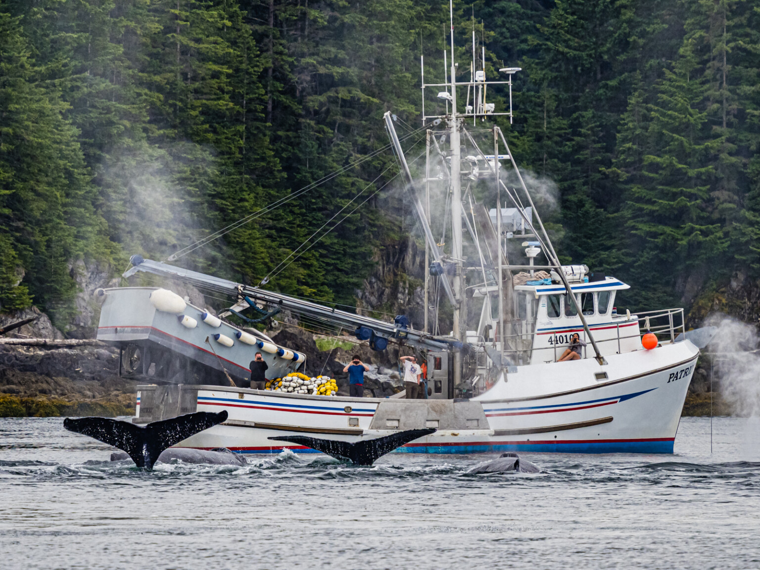 5 Unique Photography Experiences to Have in Alaska | PetaPixel