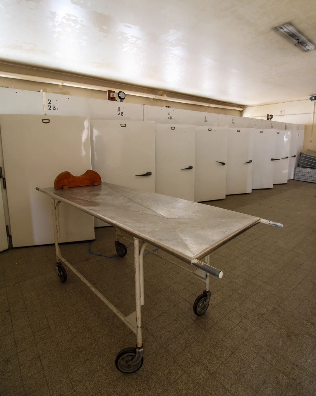 Photographer Finds Humans Bones and Organs Inside Abandoned Morgue ...