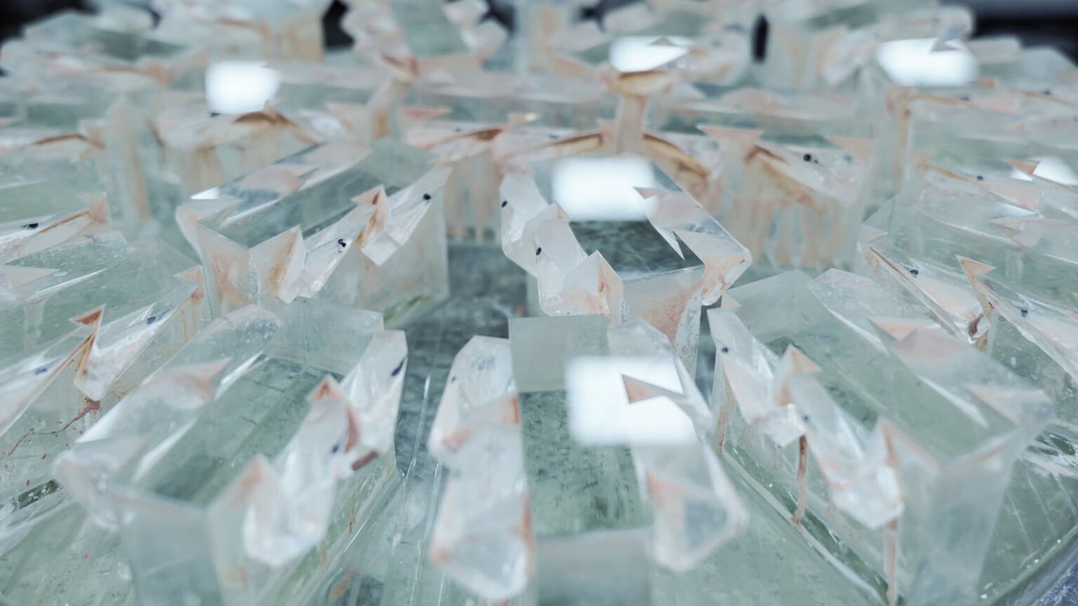 Photos From Inside Leica's Expansive Portuguese Factory | PetaPixel