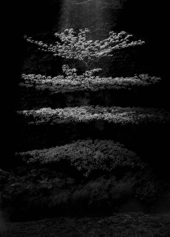 The Winners of the Black and White Photo Awards 2023 | PetaPixel