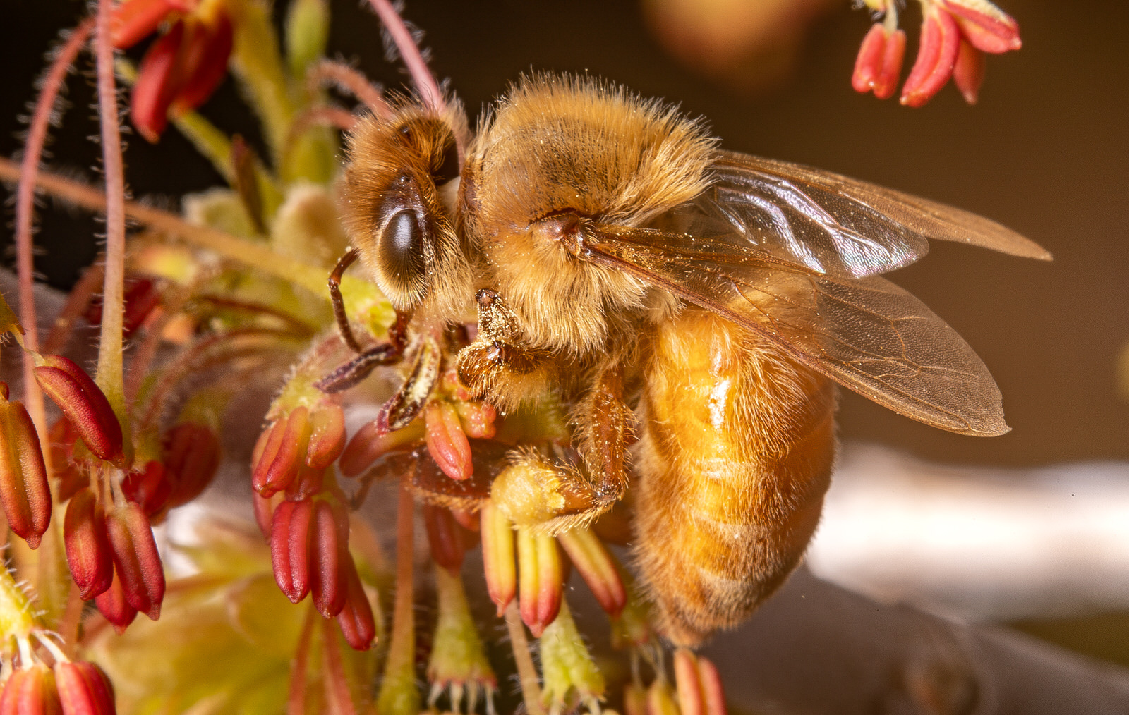 What Camera Lens Should I Buy? A Guide for Beginner Photographers ...