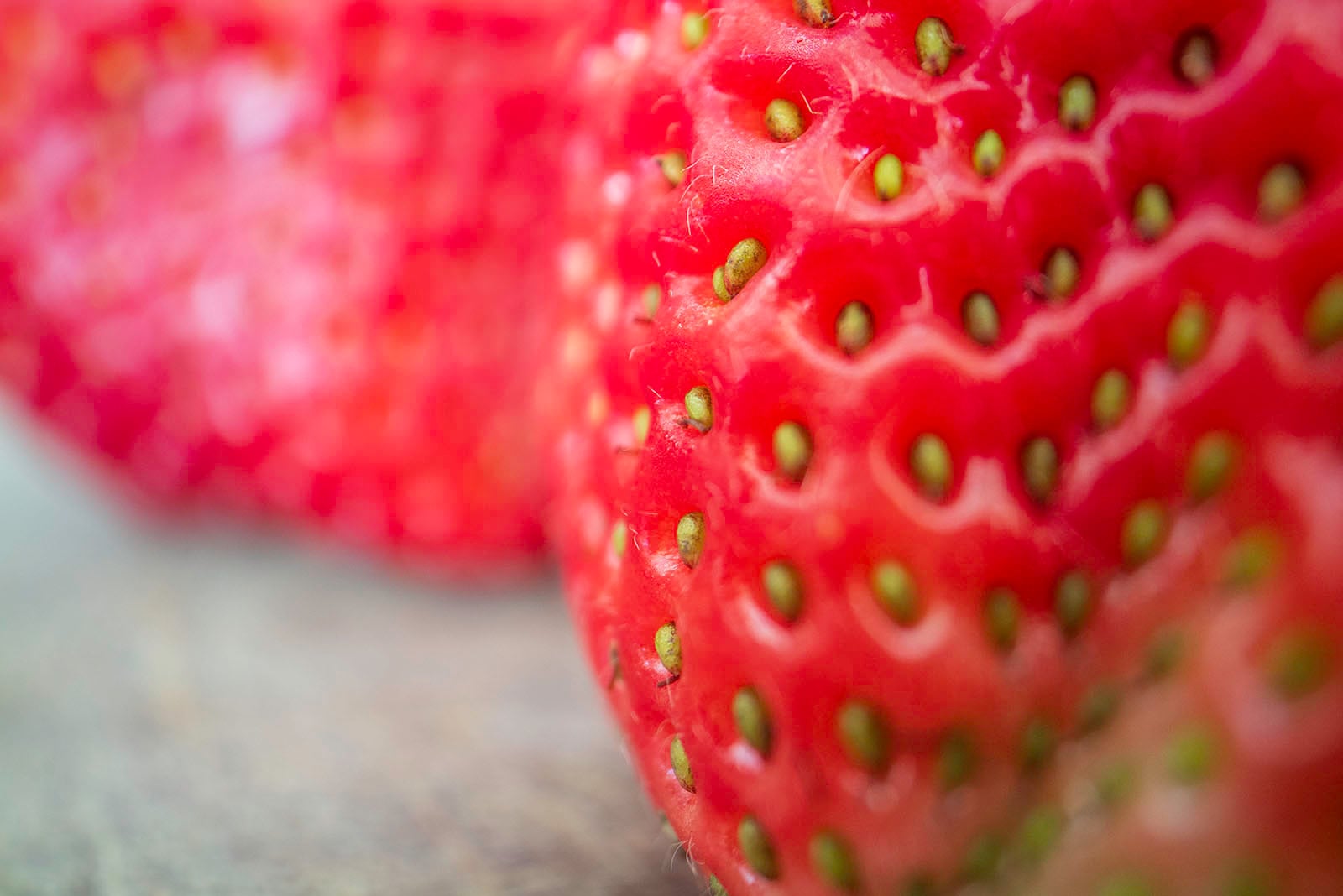 Totally Tubular: Hands-on with Laowa's 24mm T8 2x Pro2be Macro Lens ...